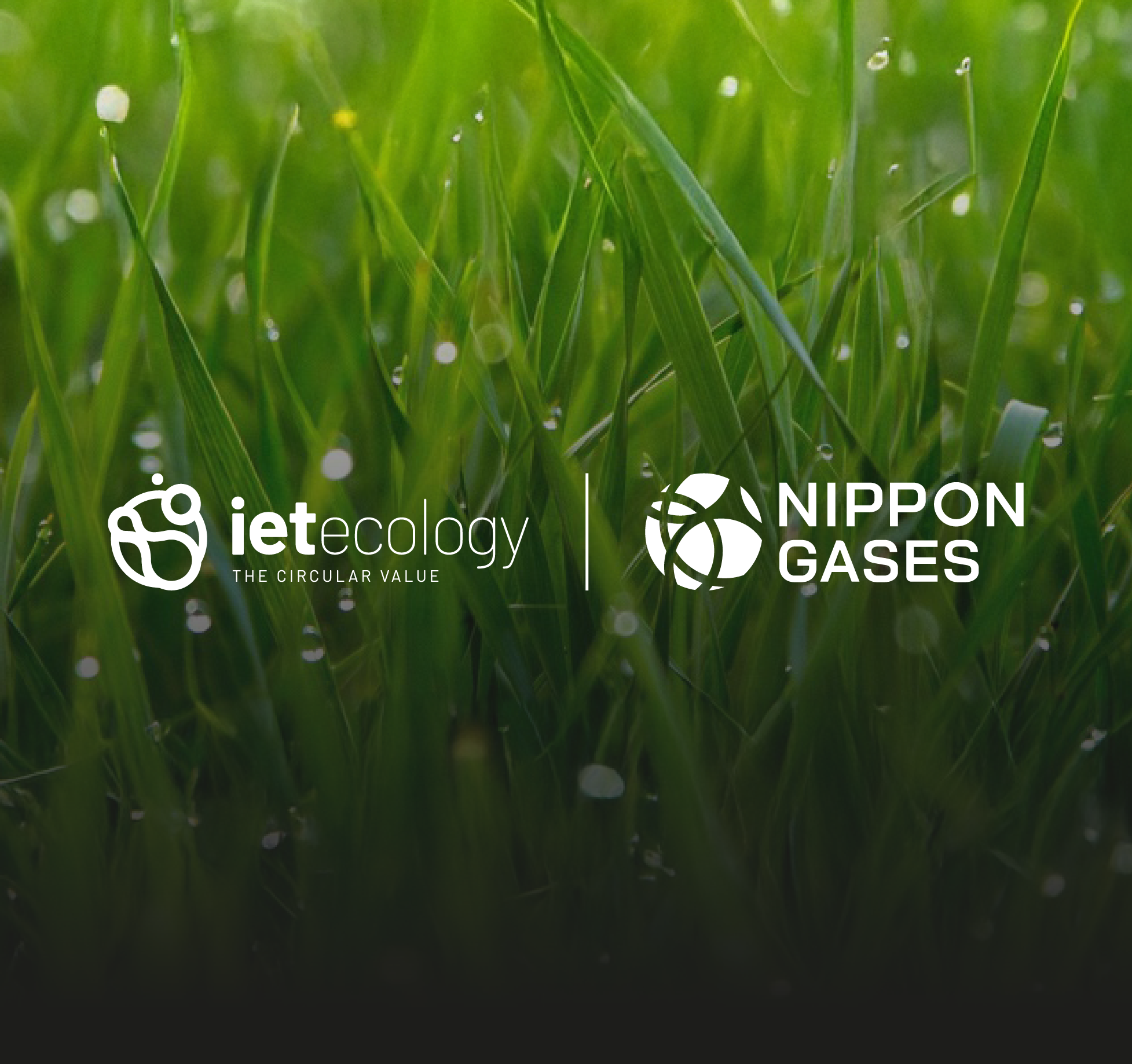 IET Ecology | NIPPON GASES IET Ecology | NIPPON GASES